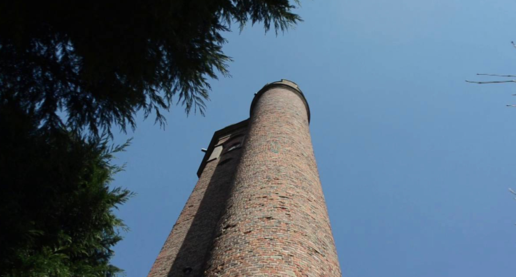 The Wire - Aura Satz: The Trembling Line