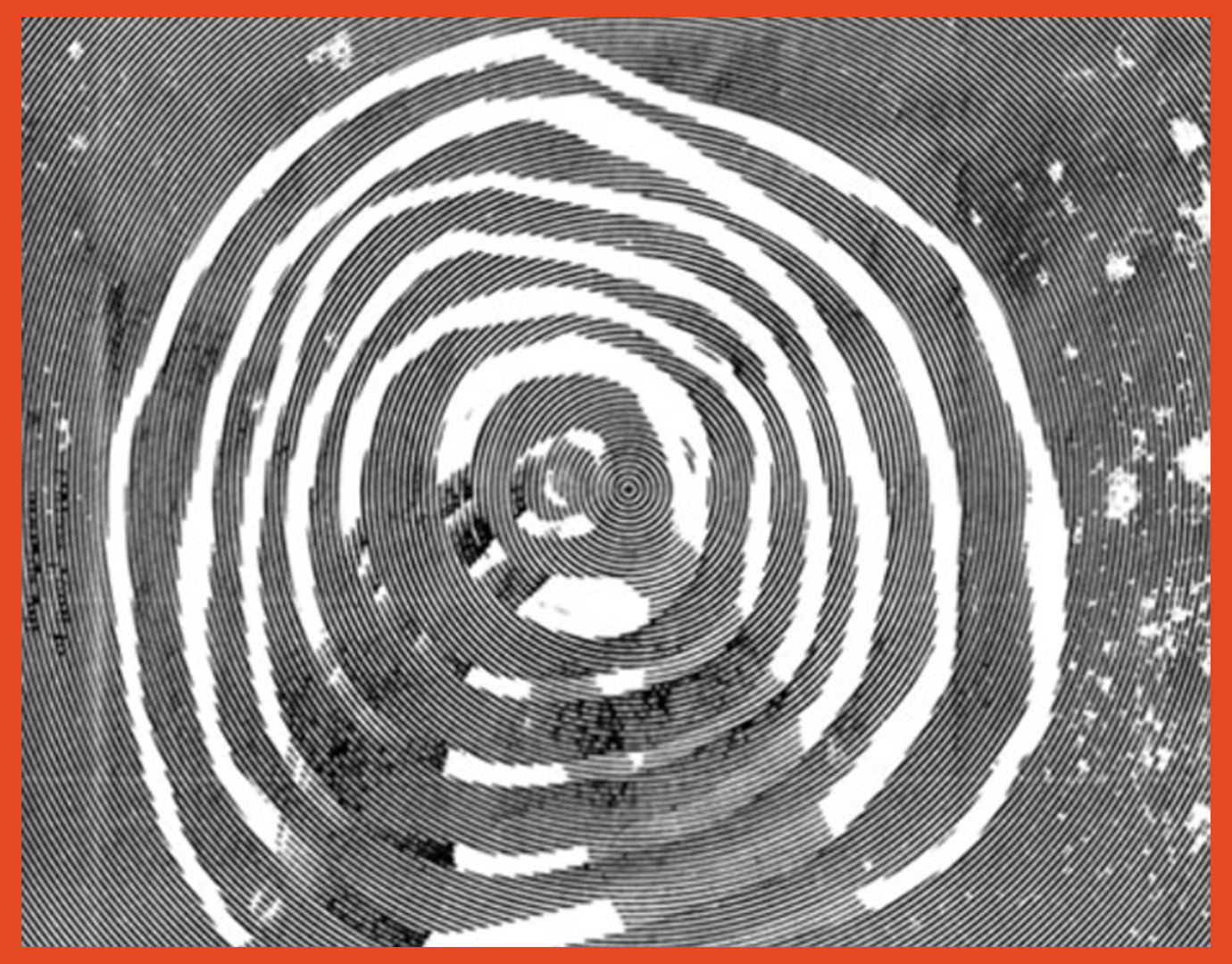 Derek Walmsley - The Wire