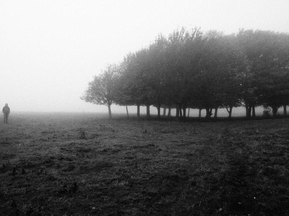 In The Field: Interviews with sounds artists on field recording ...