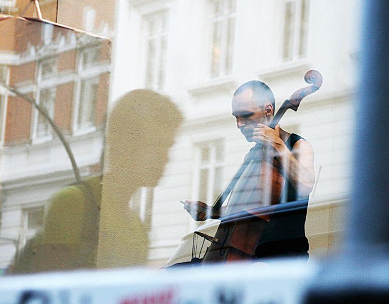 Georgia’s Delight - The Wire