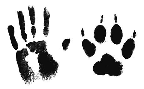 Stream tracks from Werewolf Songs: Music Inspired By Swedish Folklore ...