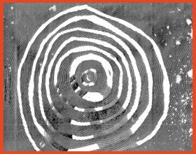 Derek Walmsley - The Wire